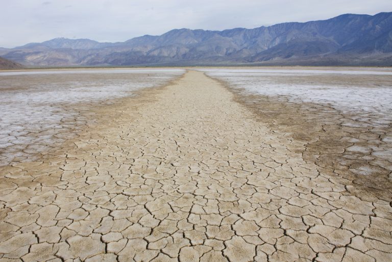 Il cambiamento climatico e la diffusione delle malattie - HUB Campus Il cambiamento climatico e la diffusione delle malattie - HUB Campus